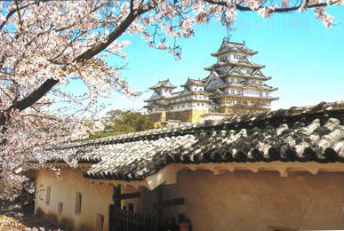 Japanese Culture and Traditions: April – Kabuki Academy